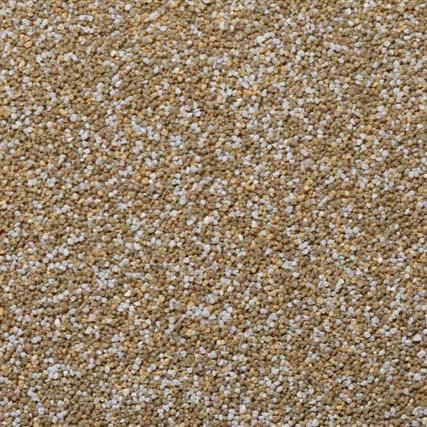 Baumit mozaik vakolat M319 zum Sonderpreis | Winkler Baumarkt Webshop